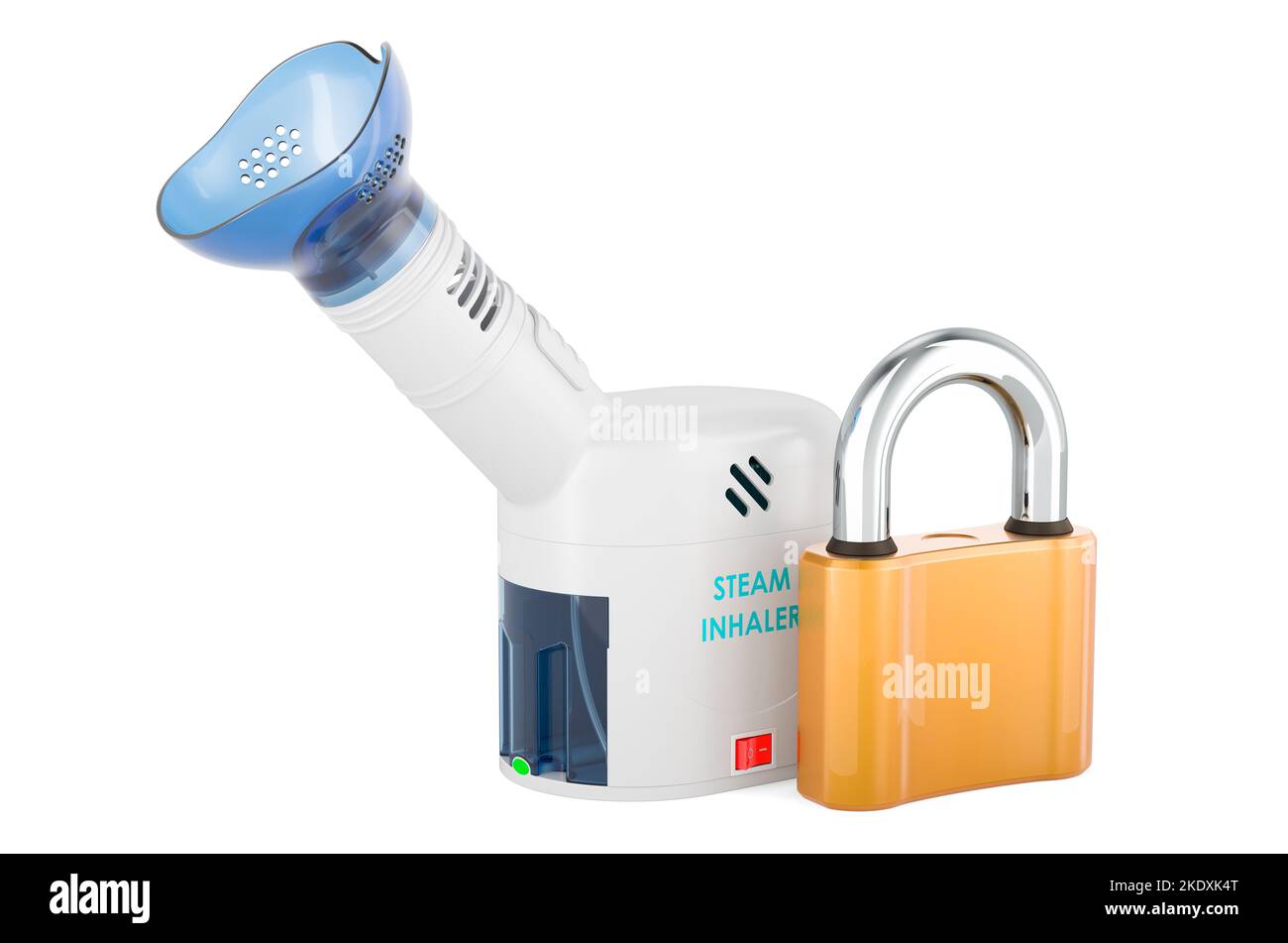 Facial Steamer, Steam Inhaler, Personal Humidifier, Vaporizer or Vocal ...