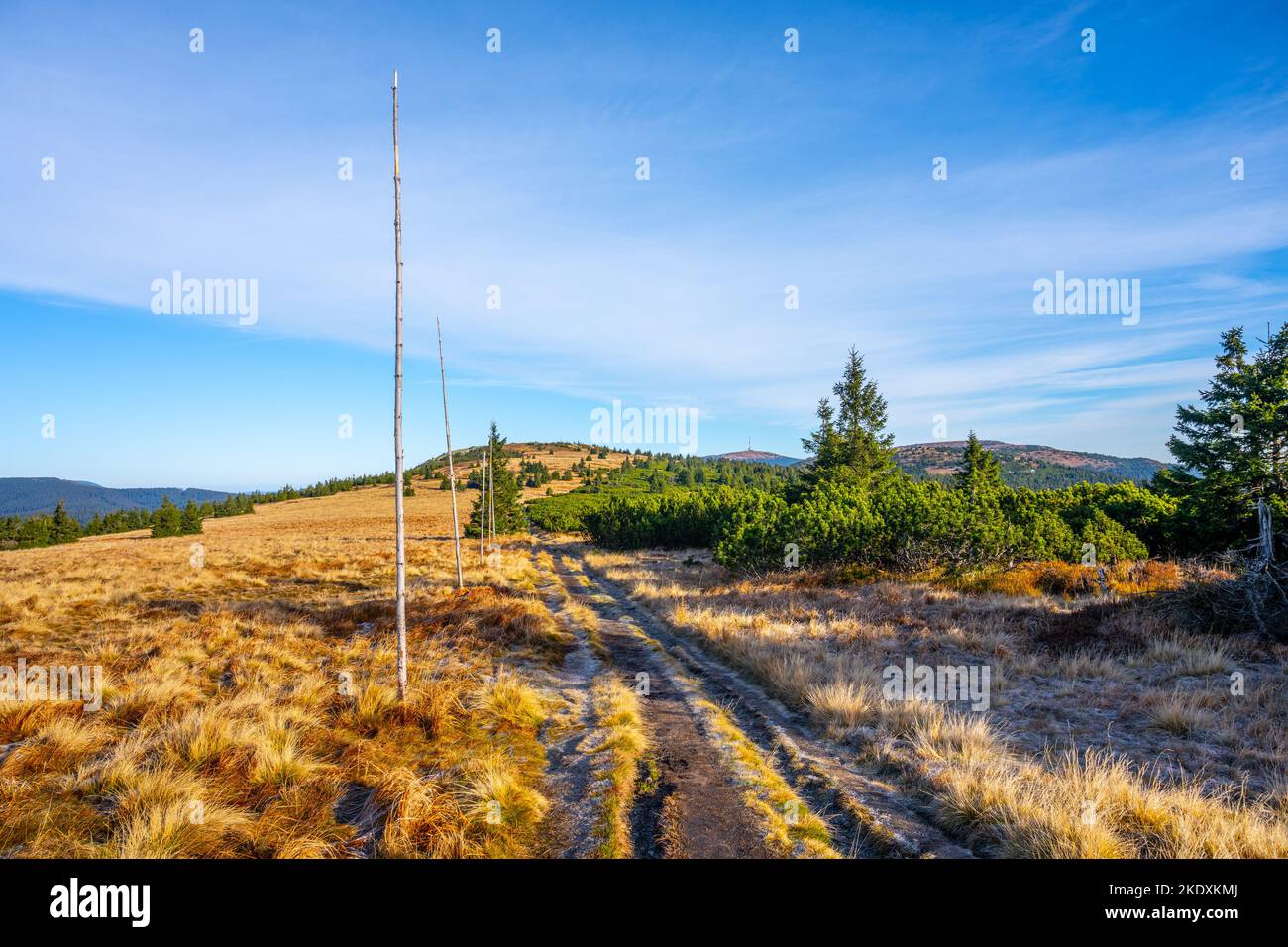 Narrow mountain tourist path marked with wooden poles. Cold and sunny ...