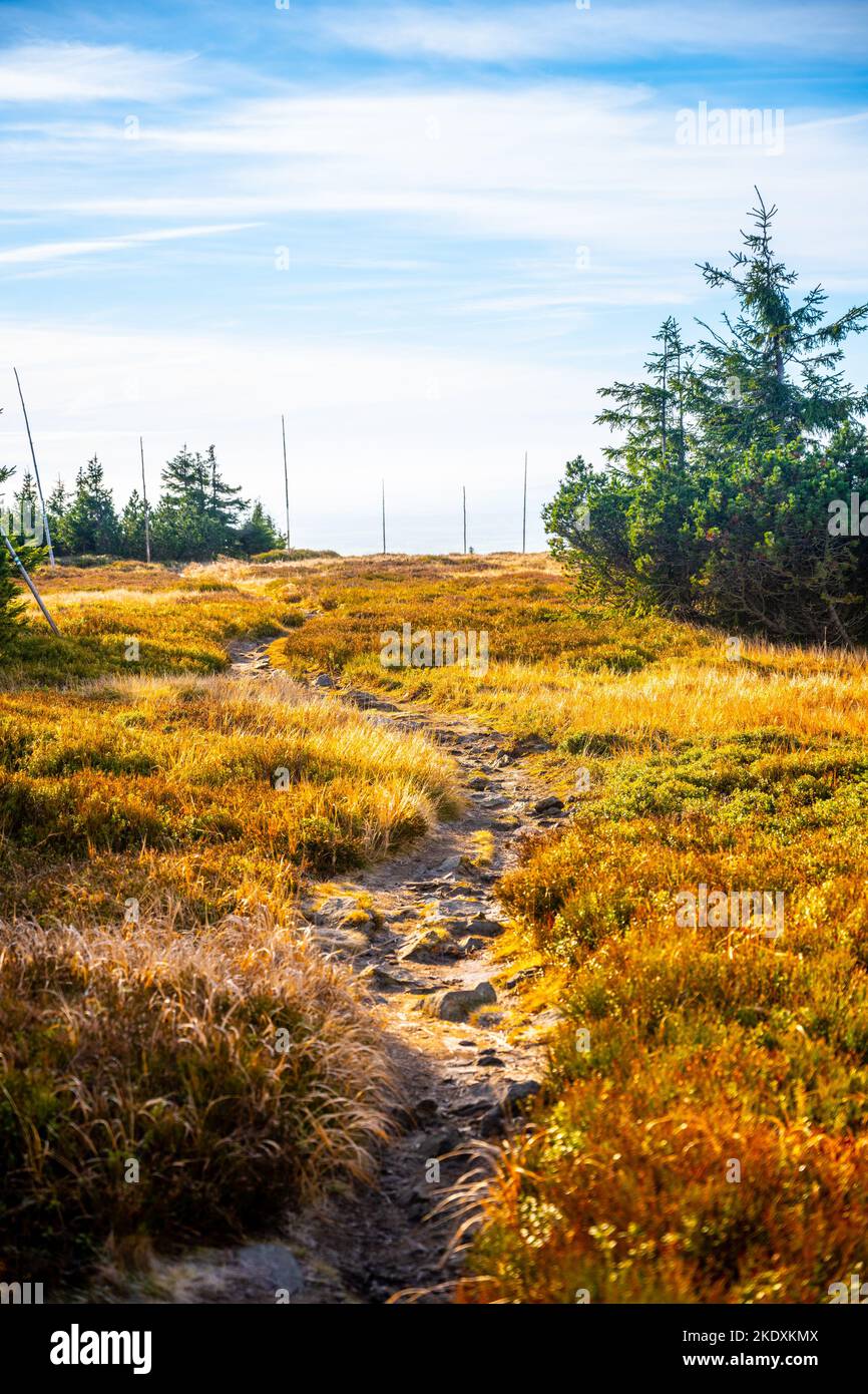 Narrow mountain tourist path marked with wooden poles. Cold and sunny ...