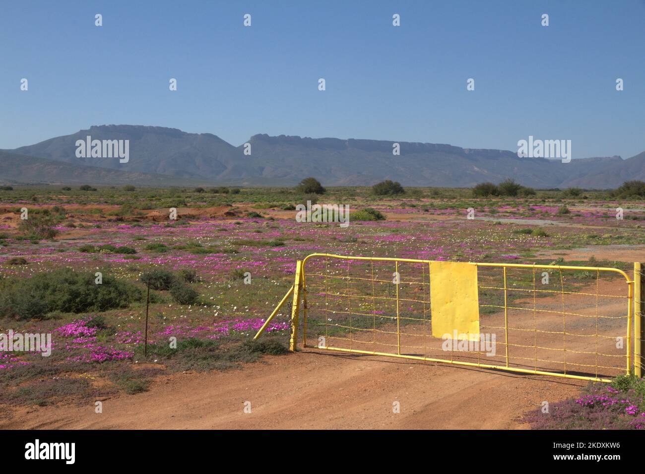Country road with yellow closed gate Stock Photo - Alamy