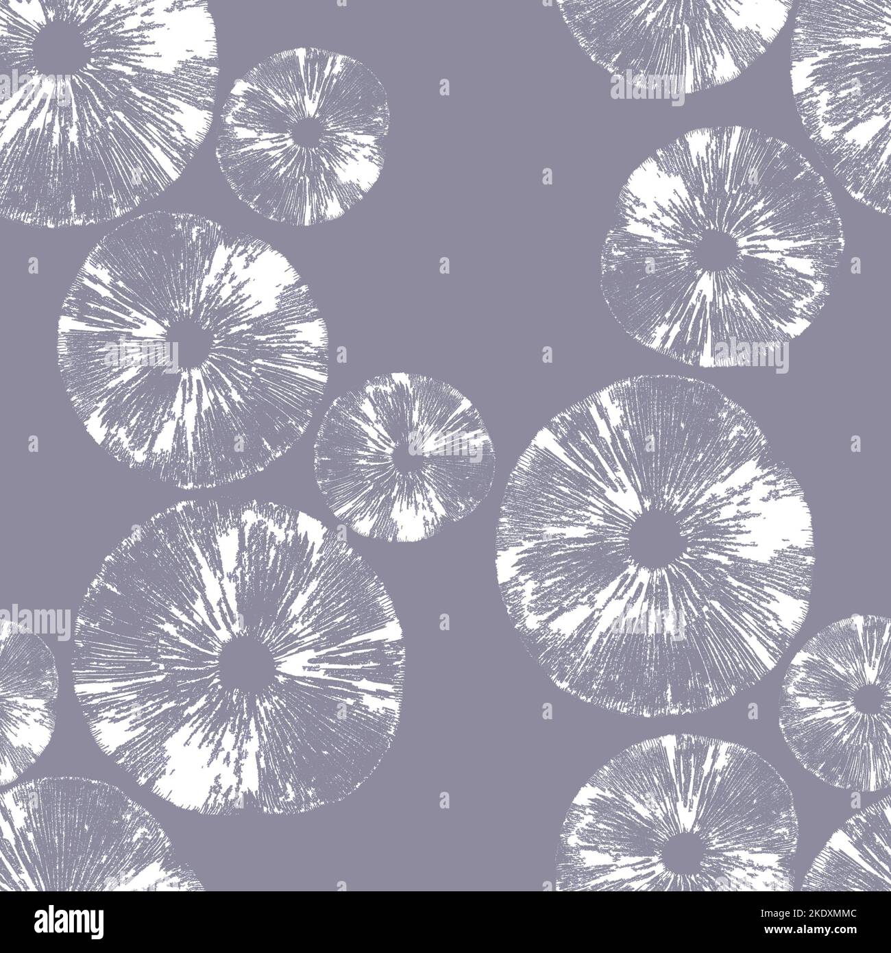 Mushroom spore print hi-res stock photography and images - Alamy