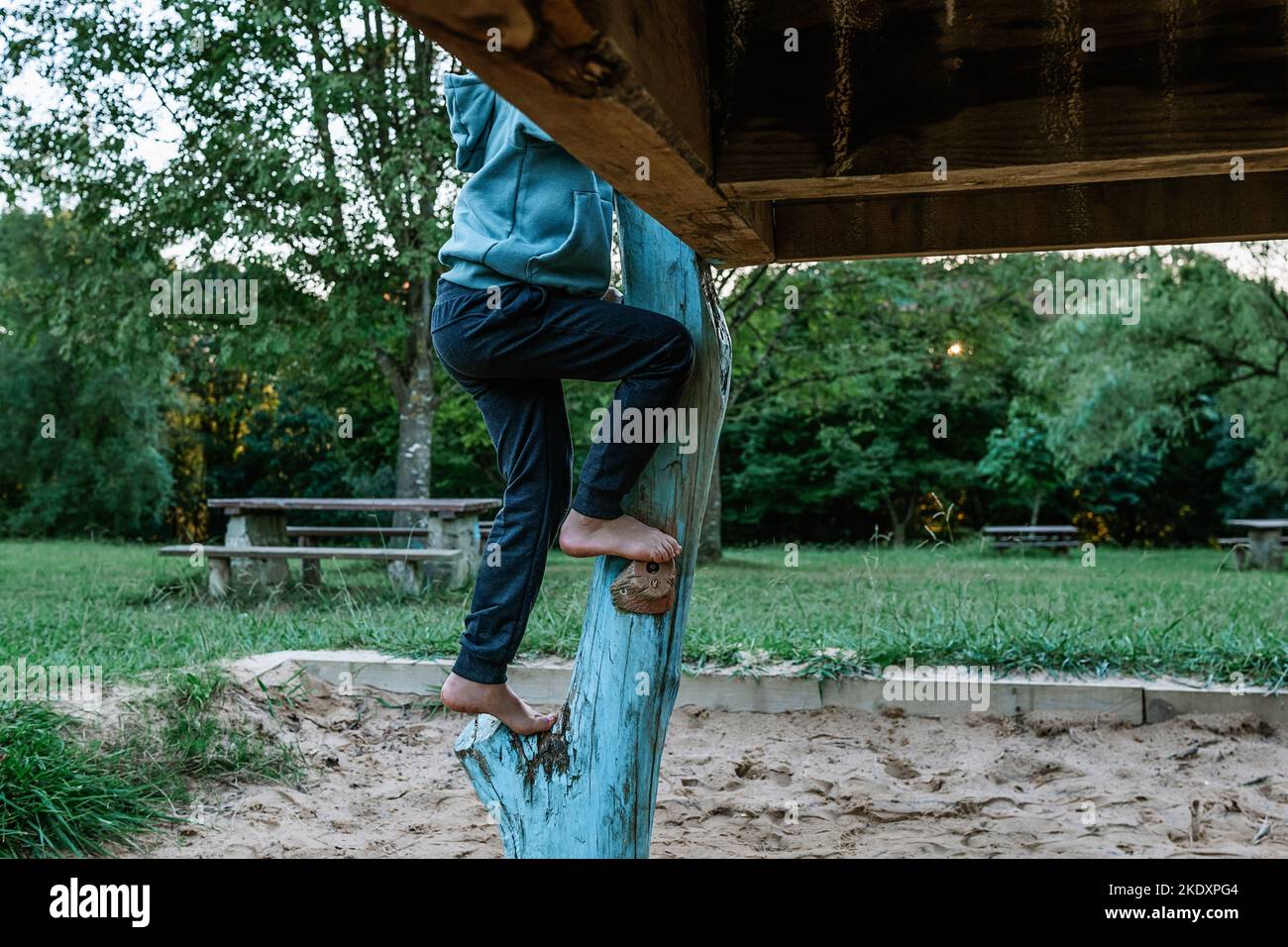 Unrecognizable barefoot boy in casual clothes climbing blue tree trunk ...
