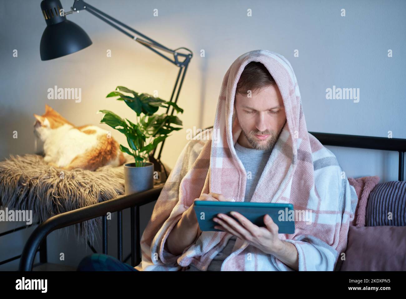 Young sick tabby cat hi-res stock photography and images - Alamy