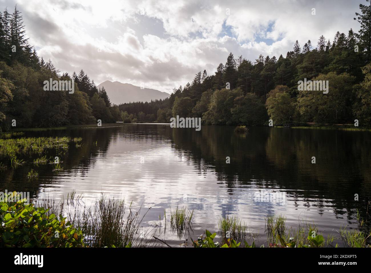 Calm lake located near Glencoe Lochan forest against mountain peak and ...