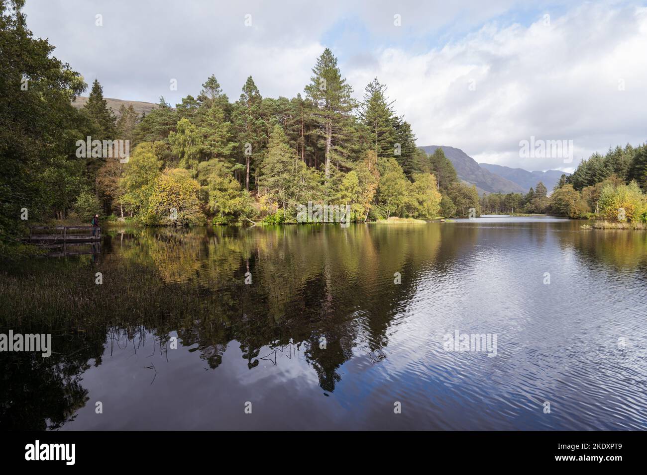 Breathtaking view of glencoe lochan lake surrounded with lush trees on ...