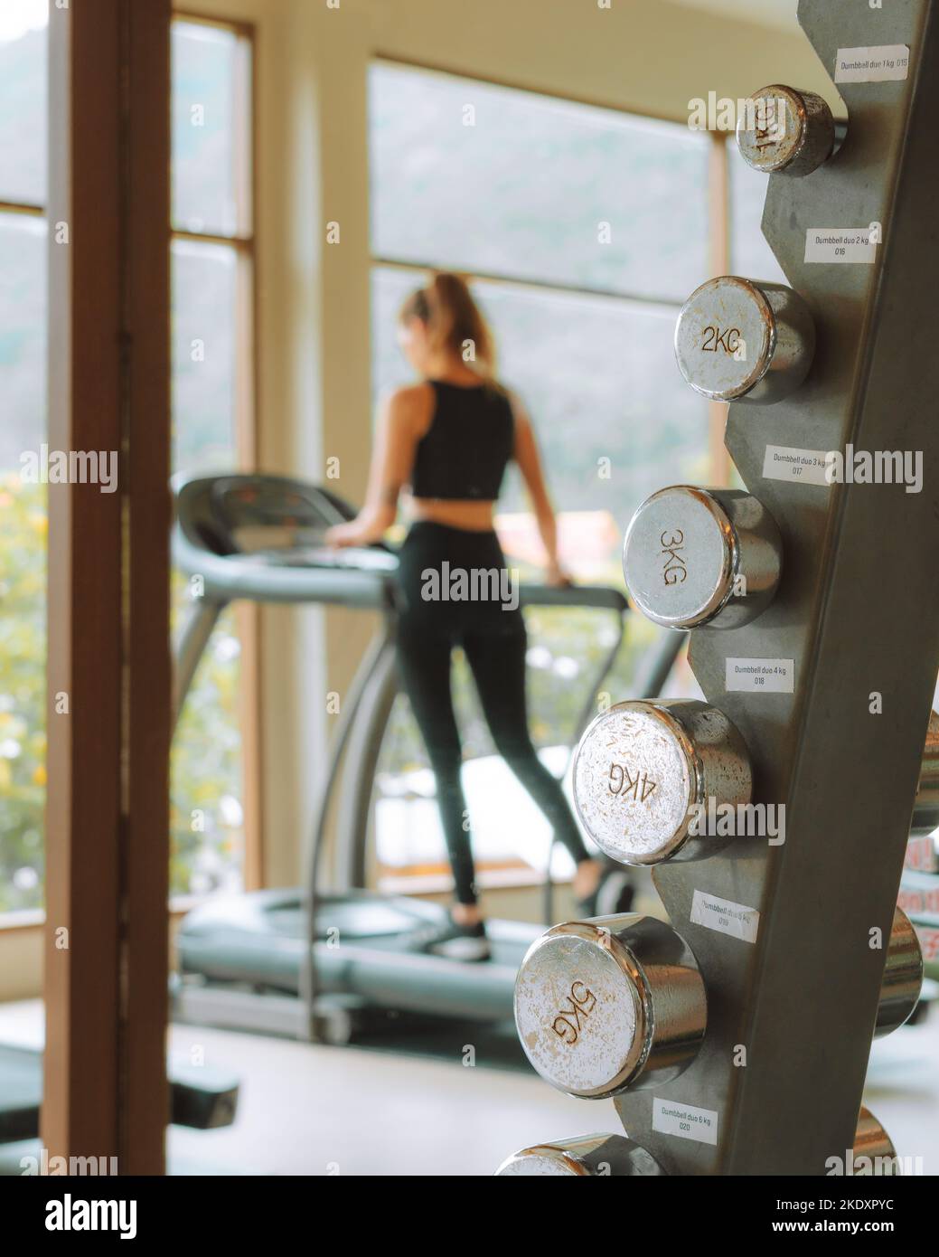 Rack with set of various metal dumbbells located near female athlete ...