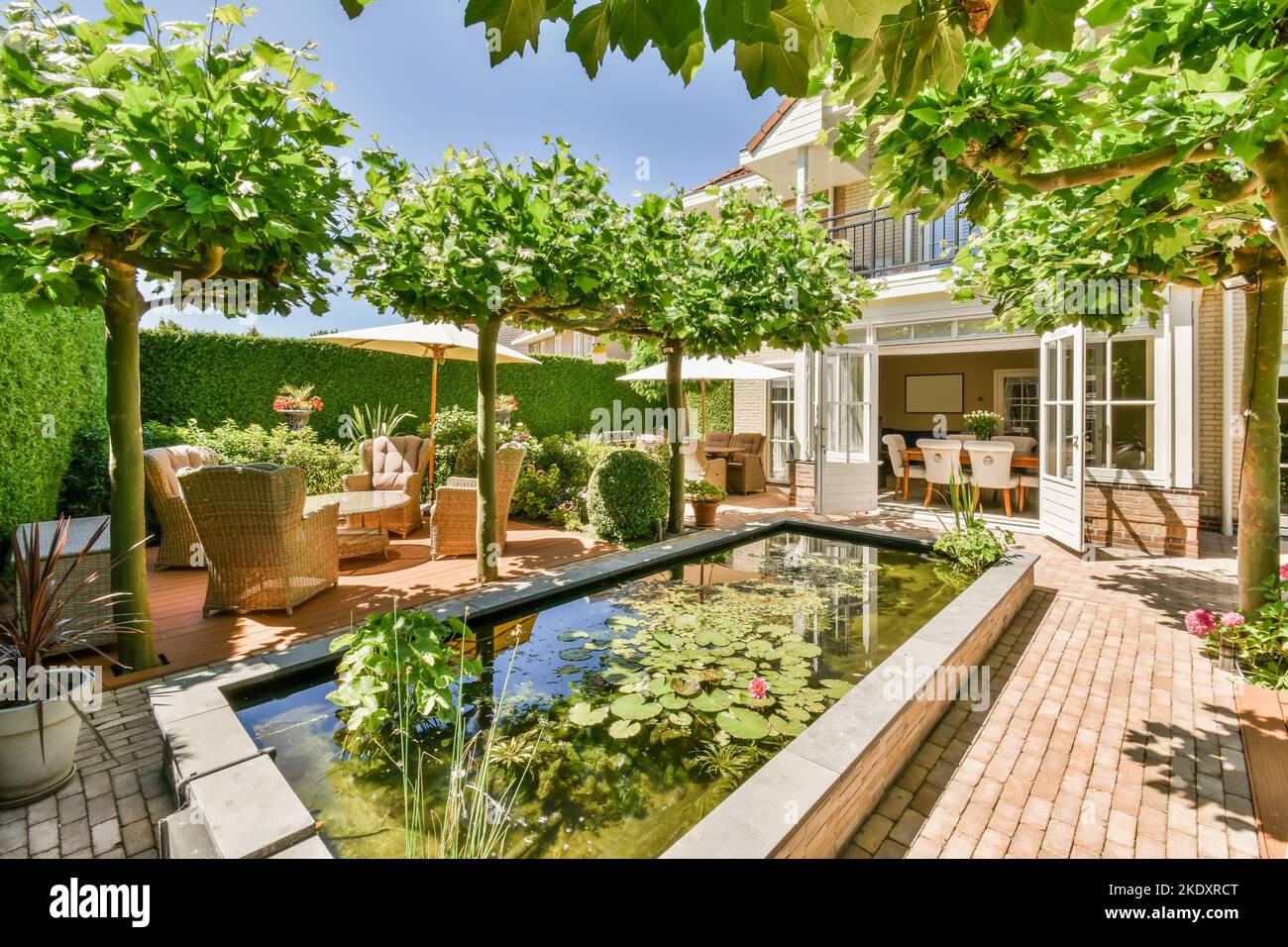 Backyard of a house with trees and green plants next to other houses ...