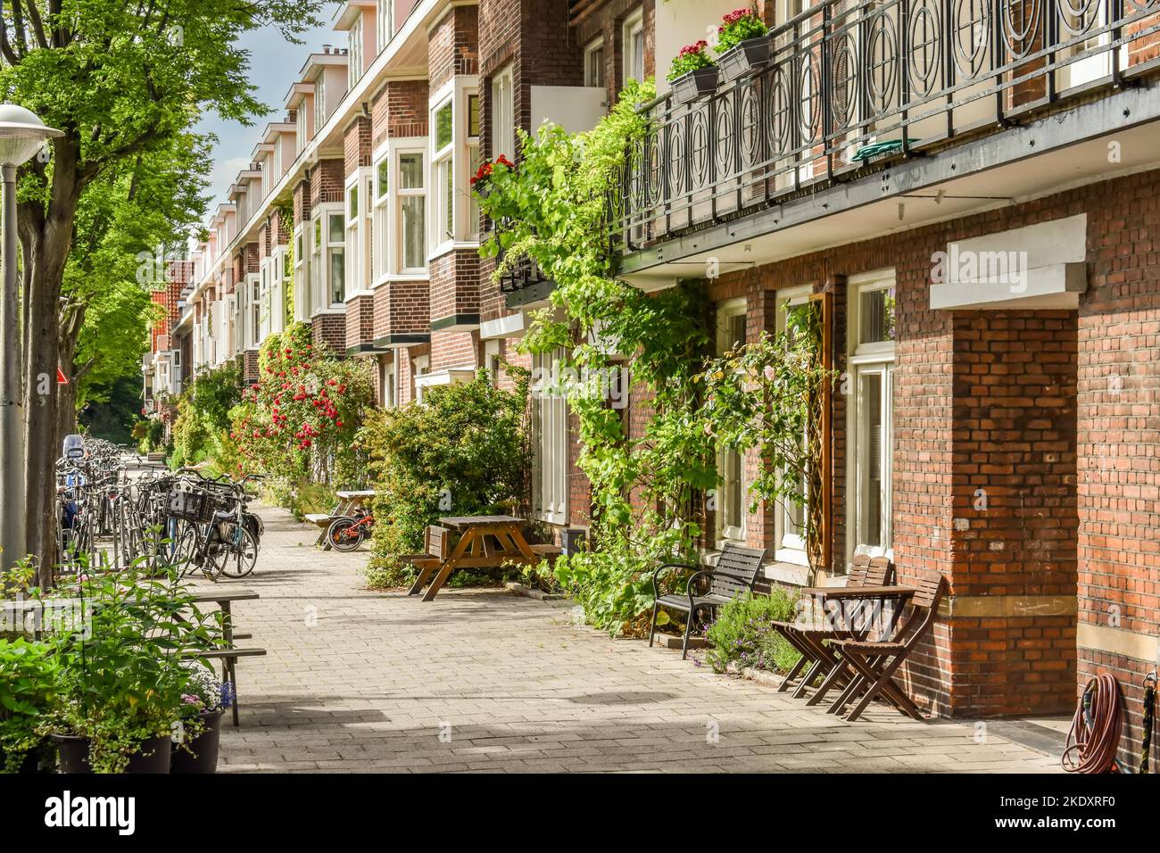 View up residential street hi-res stock photography and images - Alamy