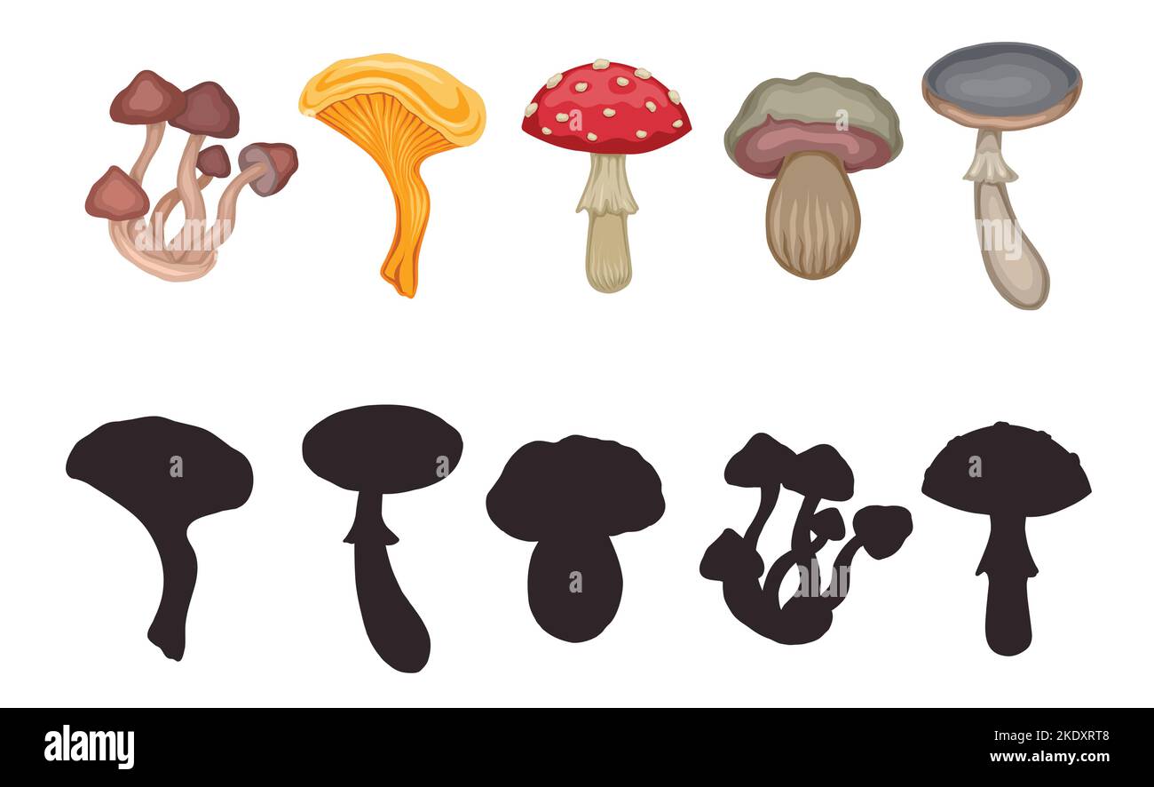 Fungal find Stock Vector Images - Alamy