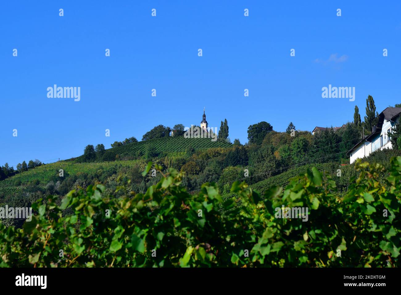 Austria, church in the mountain village Kitzeck im Sausal located on ...