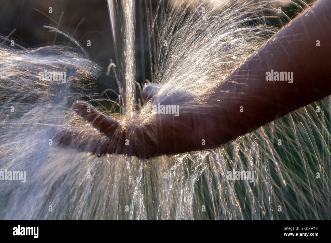 Human hands splashing pure water hi-res stock photography and images ...