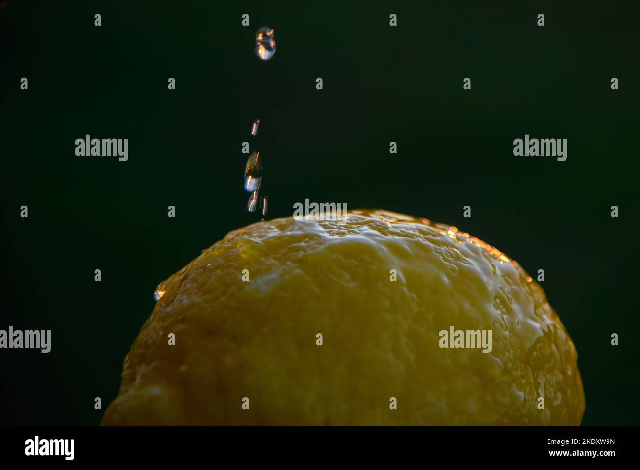 Lemon washing in sunset time Stock Photo - Alamy