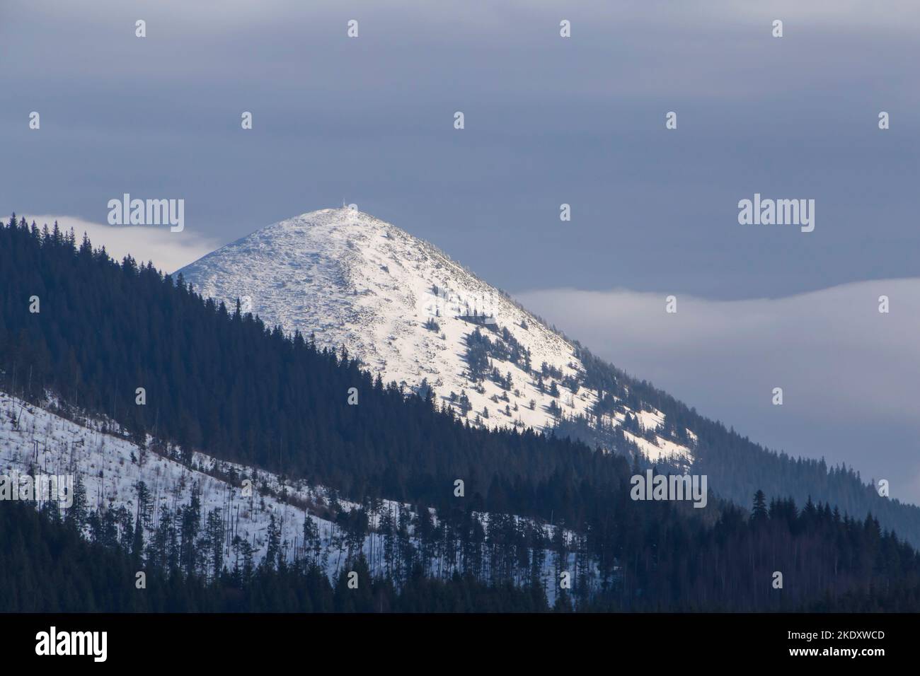sight of mount Homyak in Carpathian mountains at winter Stock Photo - Alamy