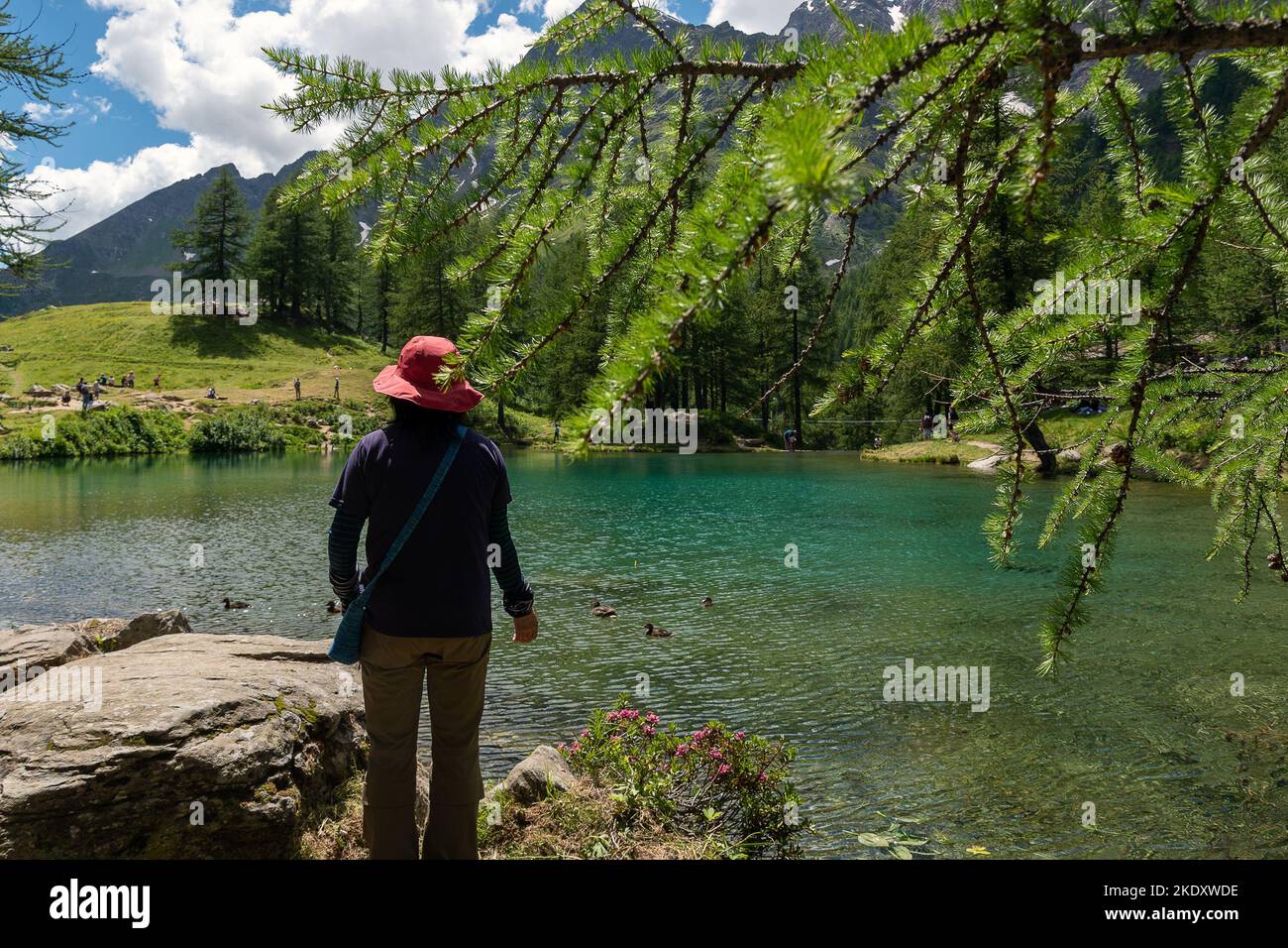 Alpine landscape next to Cervinia, Italy Stock Photo - Alamy