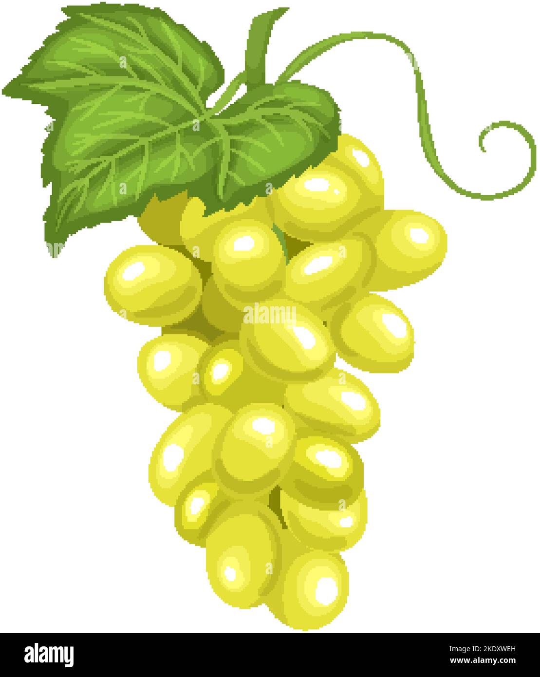 grape green cartoon vector illustration Stock Vector Image & Art - Alamy
