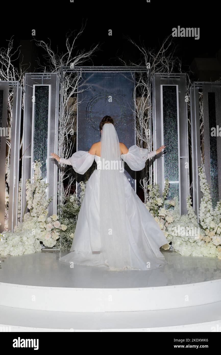 A luxurious bride in a beautiful dress stands with her back to the ...
