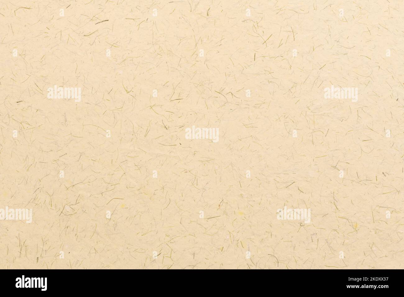 Paper background in light cream beige color tone Stock Photo - Alamy