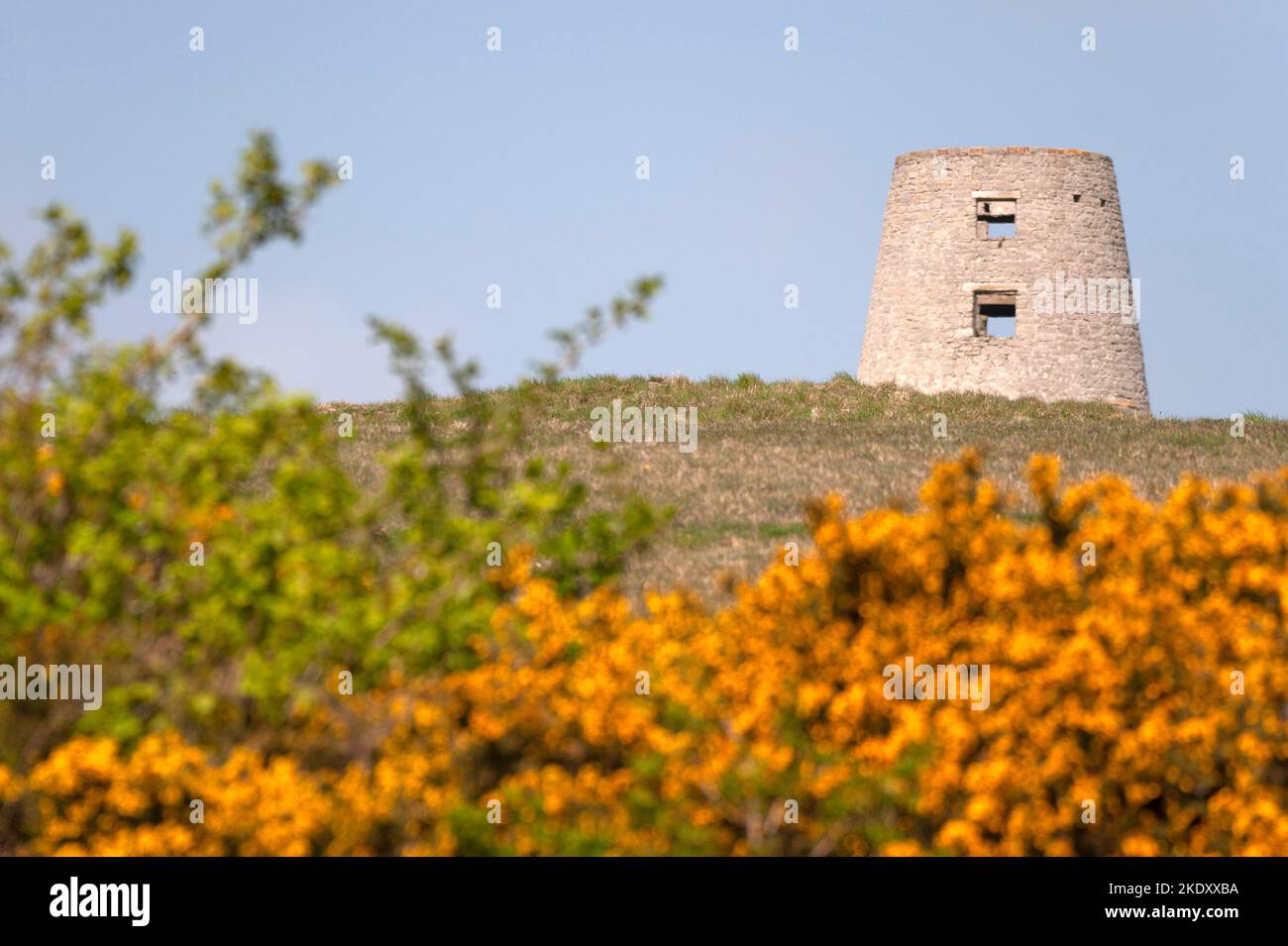 Cleadon Mill, South Tyneside Stock Photo - Alamy
