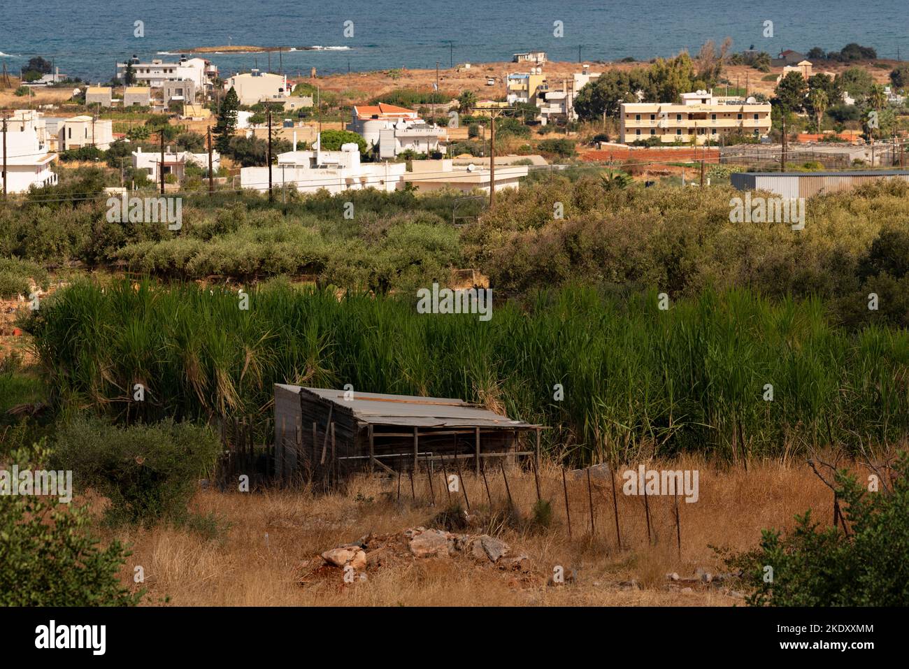 Mali, Crete, Greece. 2022. Rural farming on a small plot of land close ...