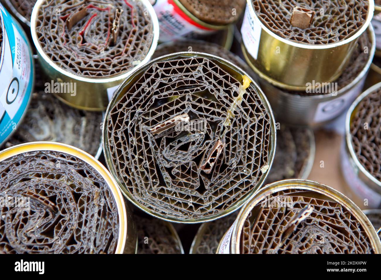 KHARKIV REGION, UKRAINE - NOVEMBER 8, 2022 - Members of the My:kolo ...