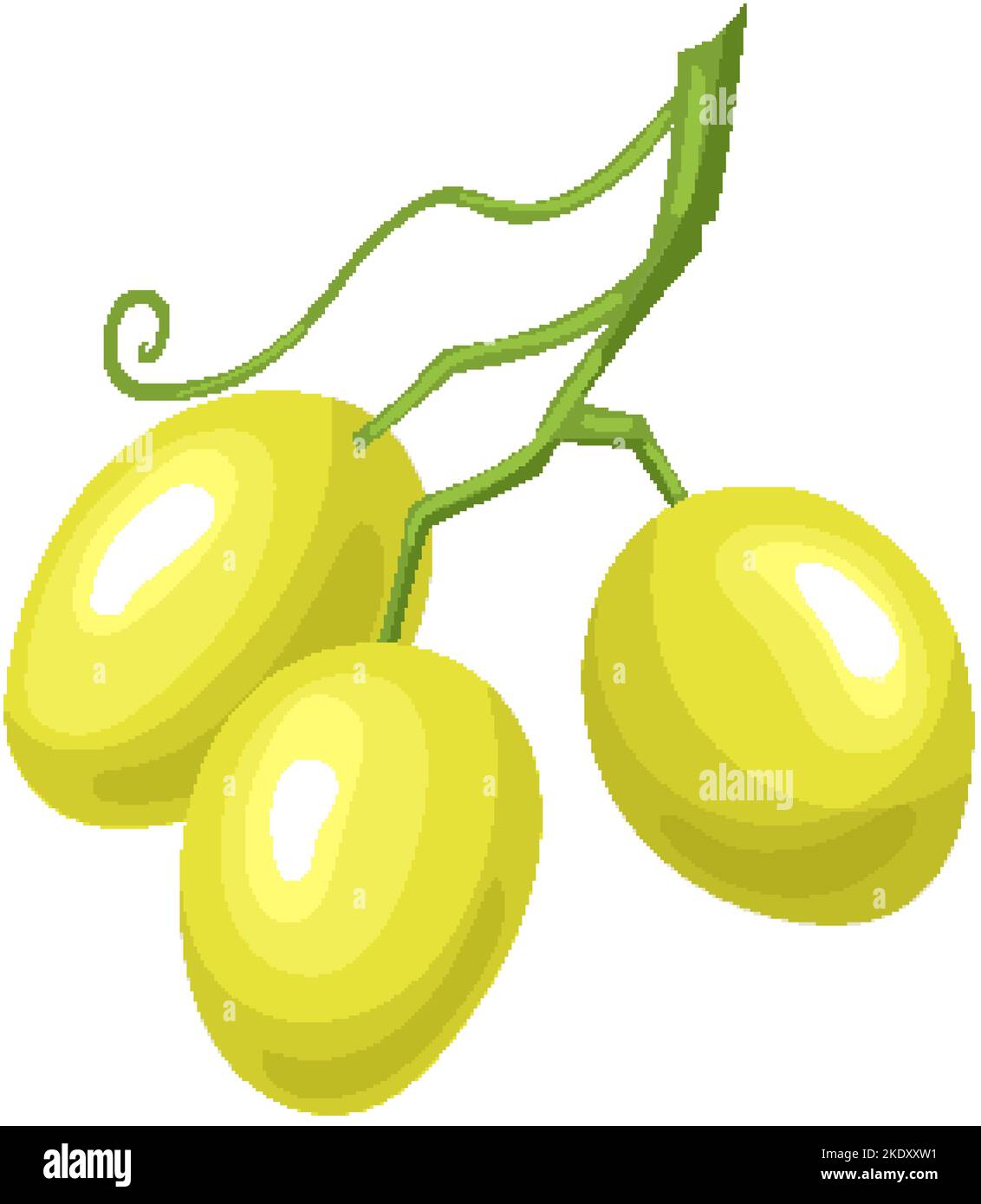 grape green ripe cartoon vector illustration Stock Vector Image & Art ...
