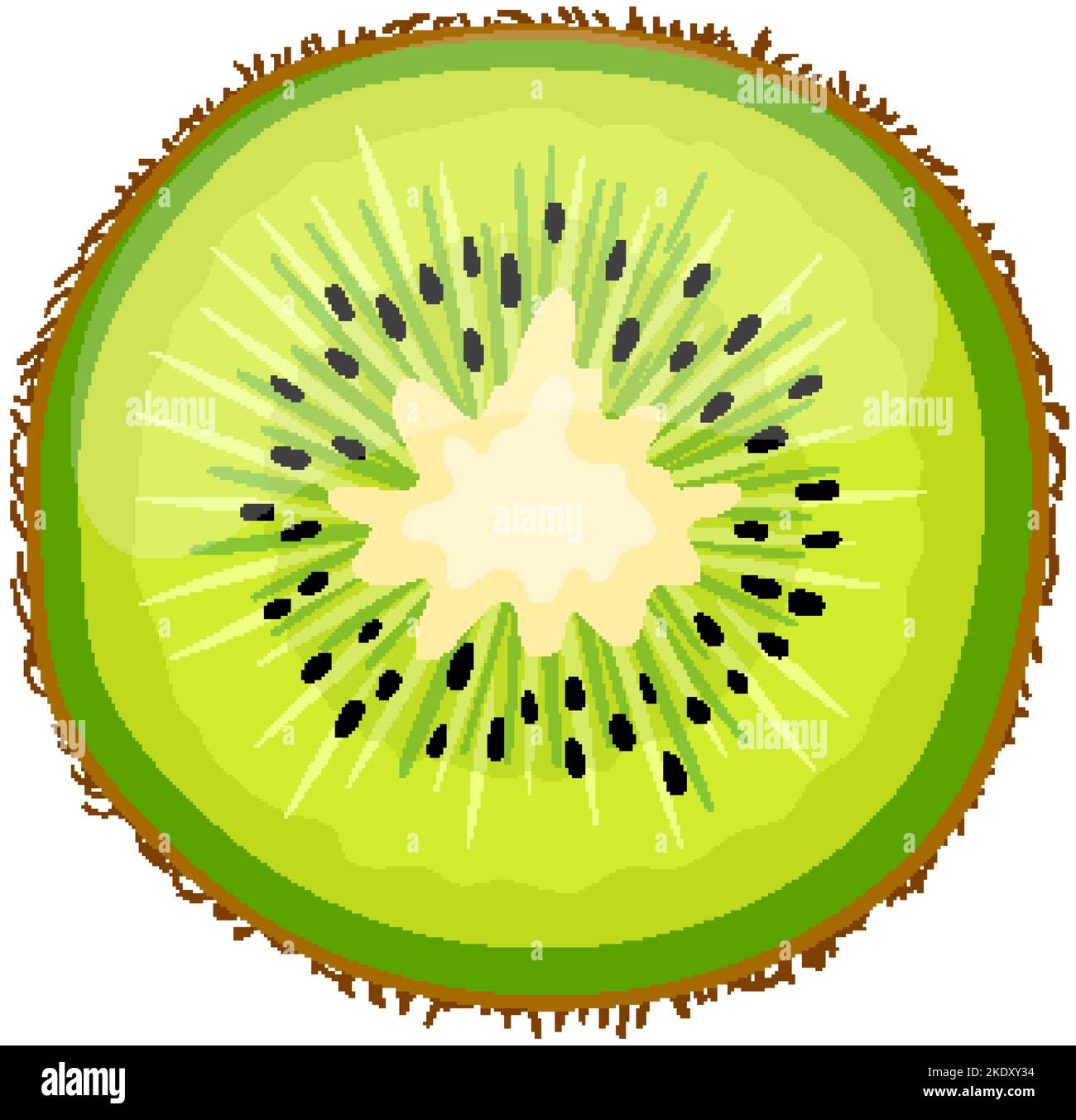 kiwi green cut cartoon vector illustration Stock Vector Image & Art - Alamy