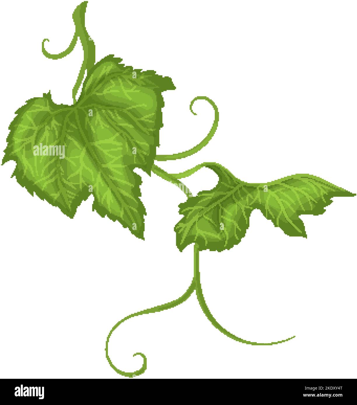 grape vine leaf cartoon vector illustration Stock Vector Image & Art ...