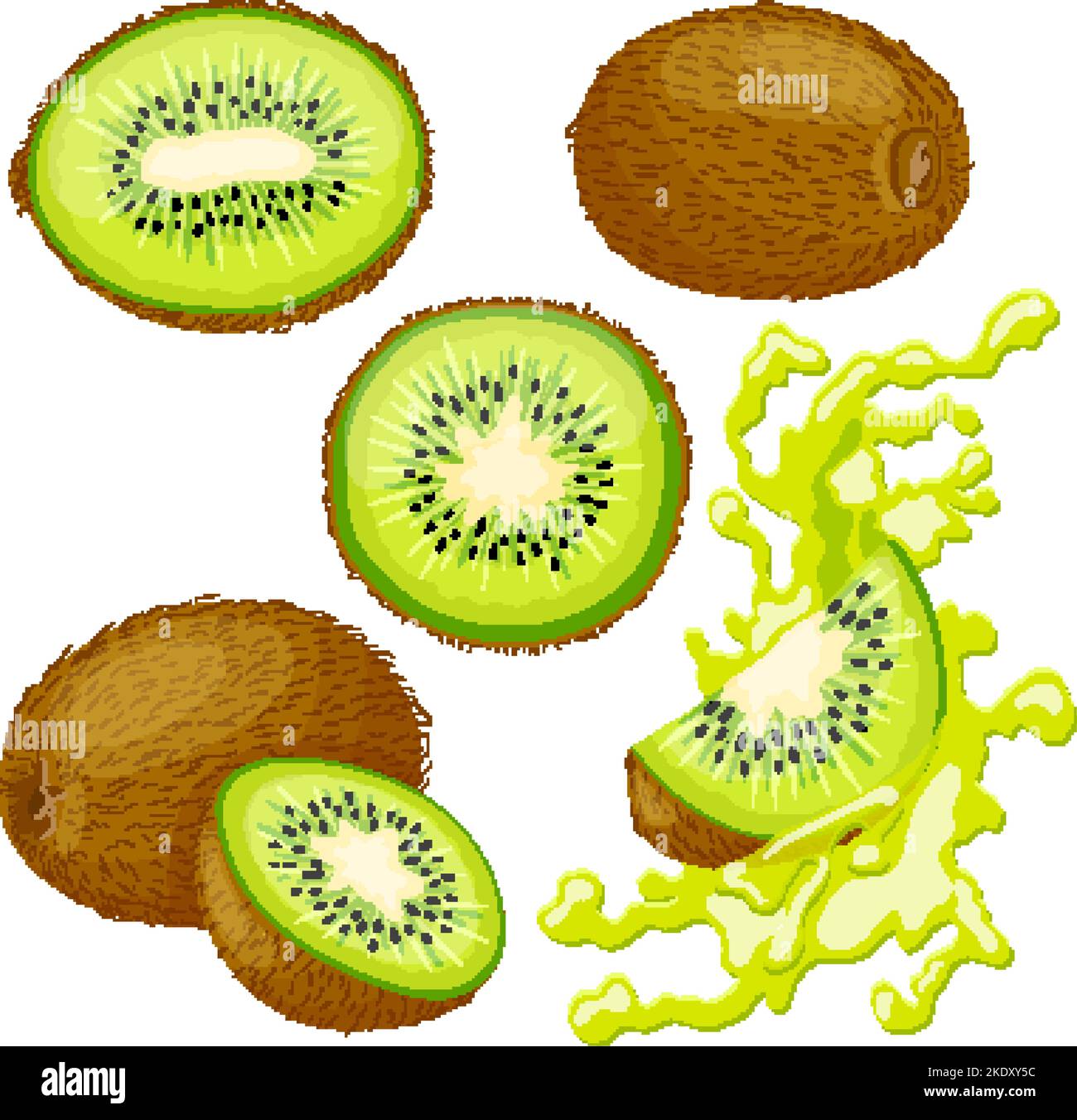 kiwi fruit green set cartoon vector illustration Stock Vector Image ...