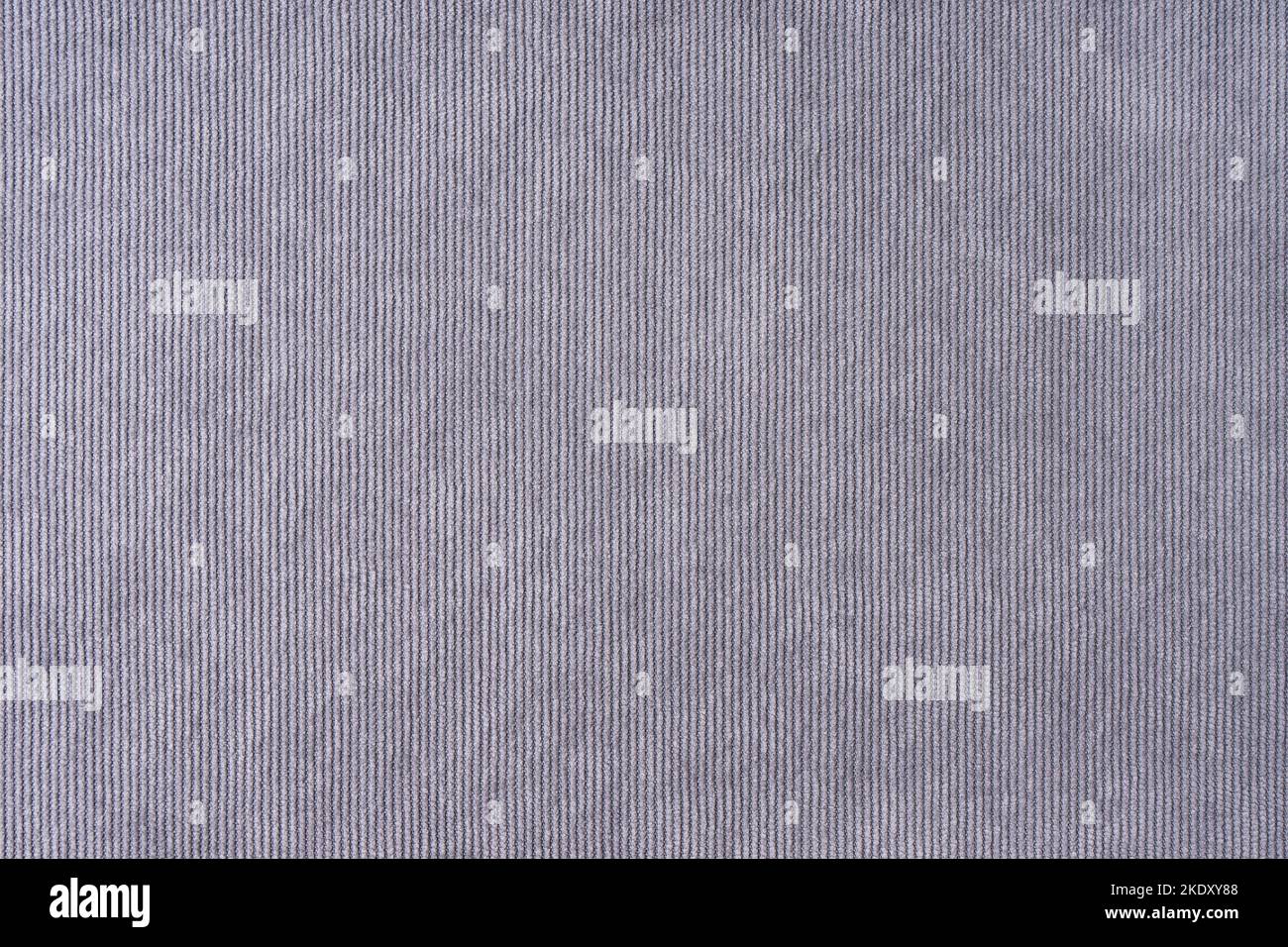 Texture background of velours gray fabric. Upholstery velveteen texture ...