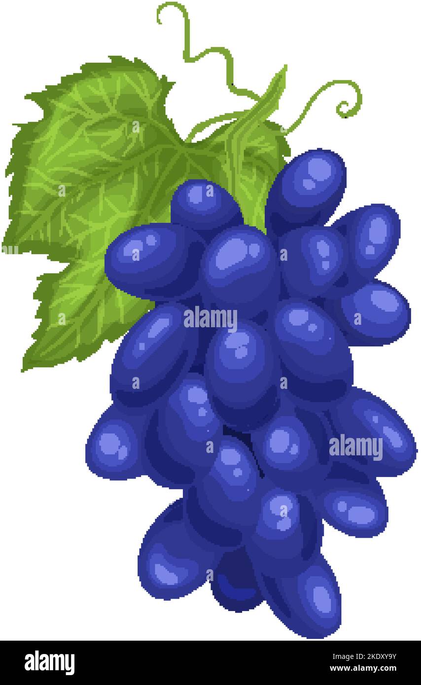 grape blue cartoon vector illustration Stock Vector Image & Art - Alamy
