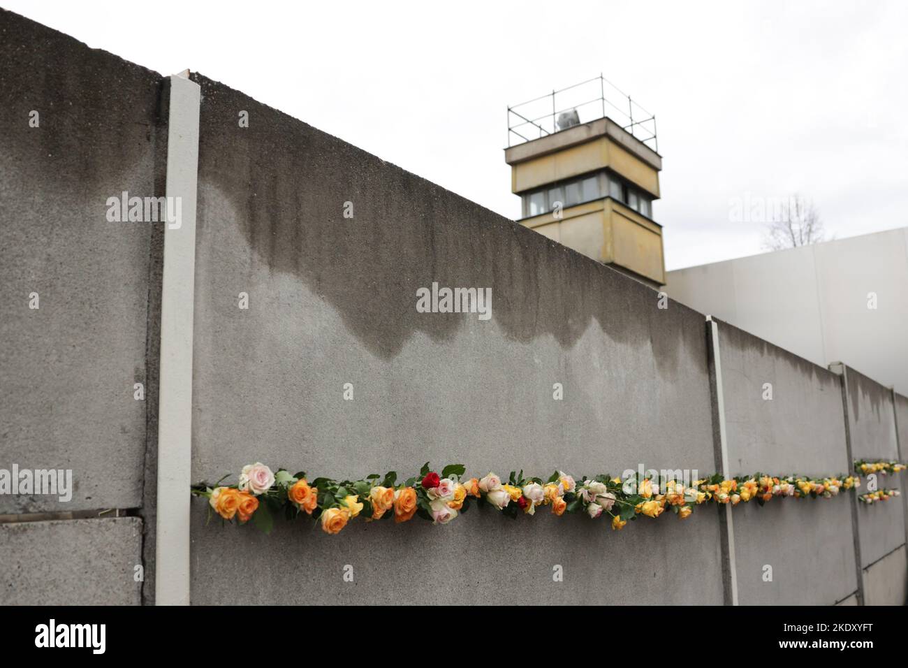 Berlin, Germany 09 November 2022, Berlin, Berlin/Potsdam: During the ...