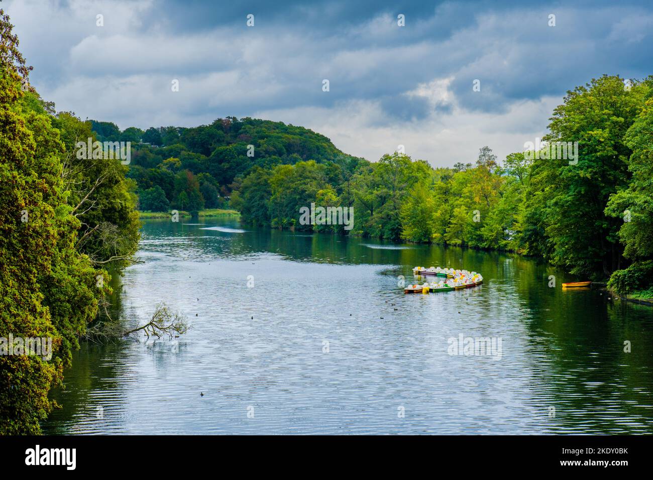 fallen tree in water at river. nature scenery Stock Photo - Alamy
