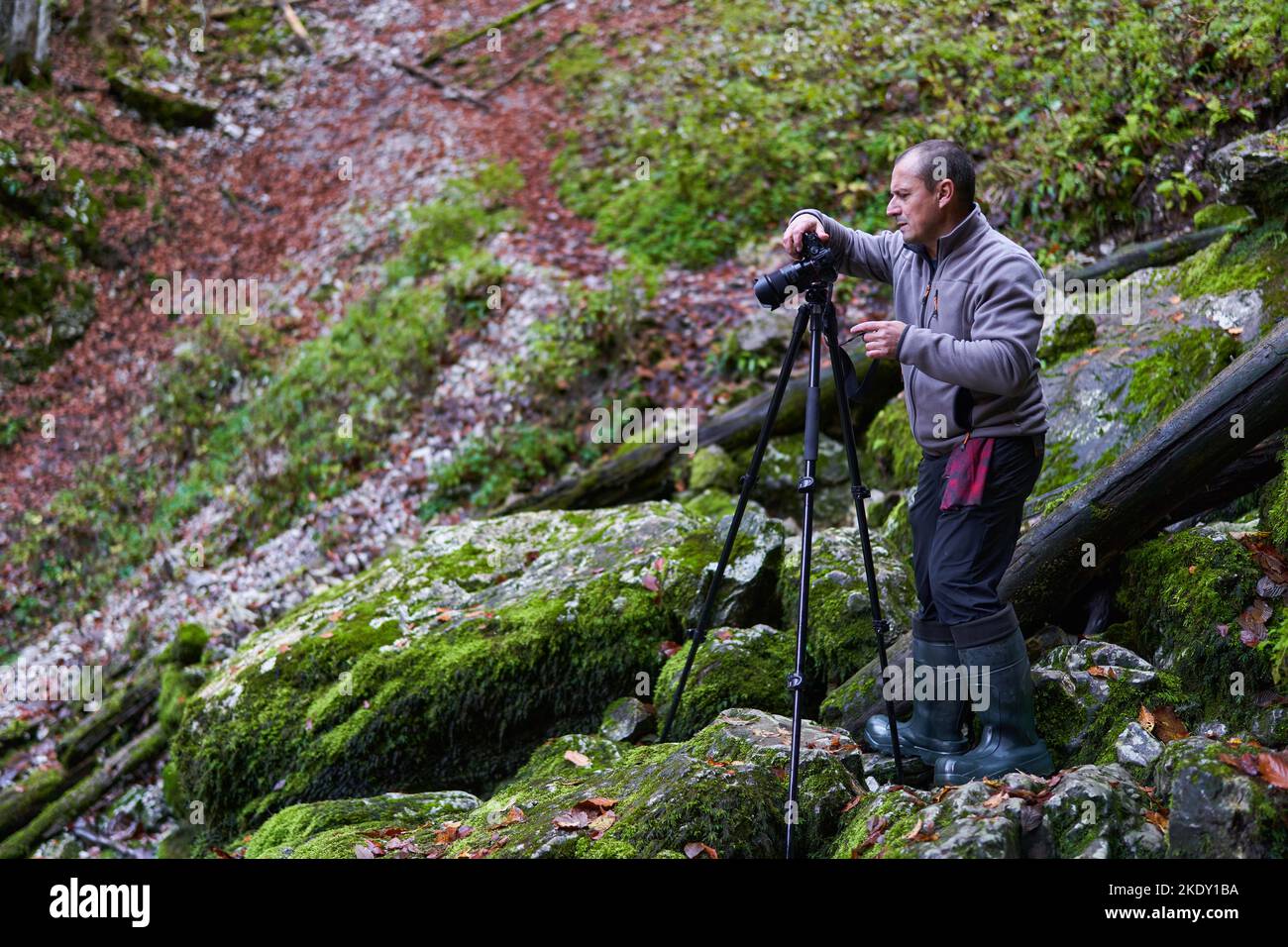 Nature photographer shooting landscapes in a canyon covered in moss and ...