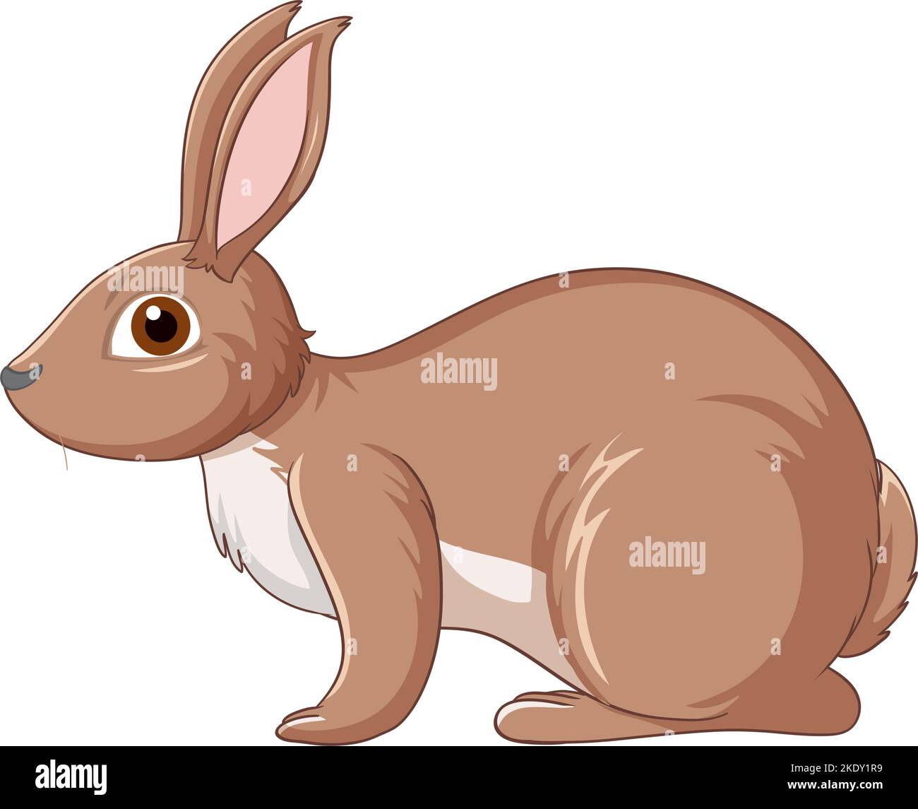 Cute brown rabbit cartoon character illustration Stock Vector Image ...