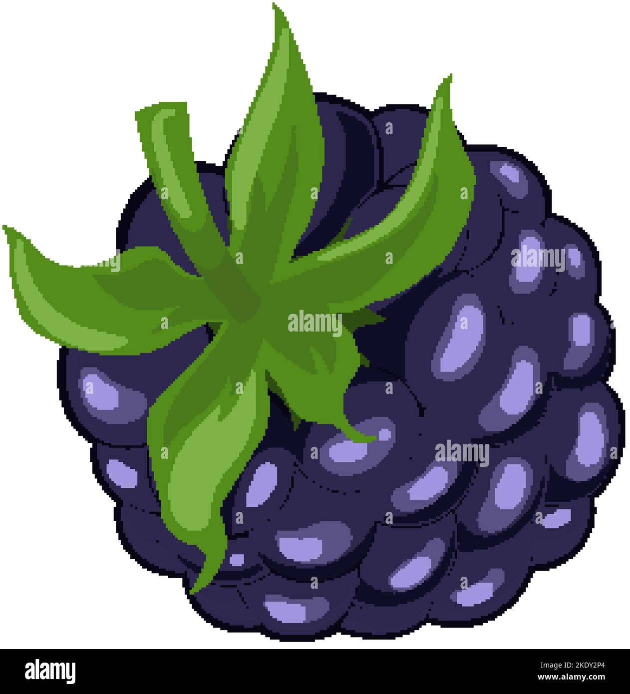 blackberry berry nature cartoon vector illustration Stock Vector Image ...