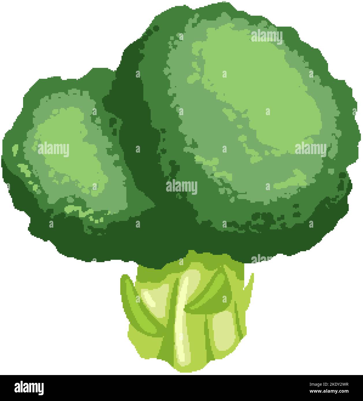 broccoli green cartoon vector illustration Stock Vector Image & Art - Alamy