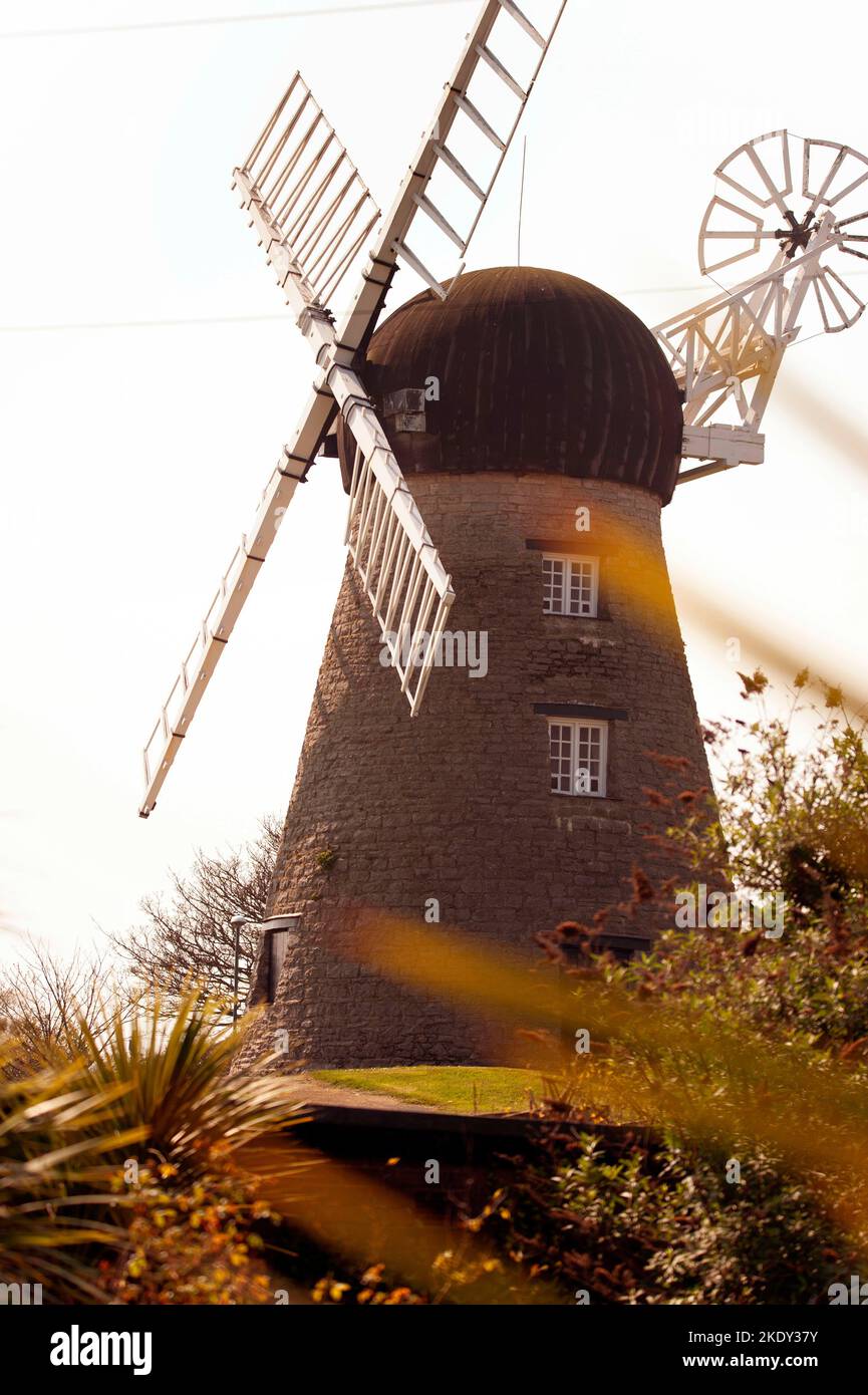 Whitburn mill, South Tyneside Stock Photo - Alamy