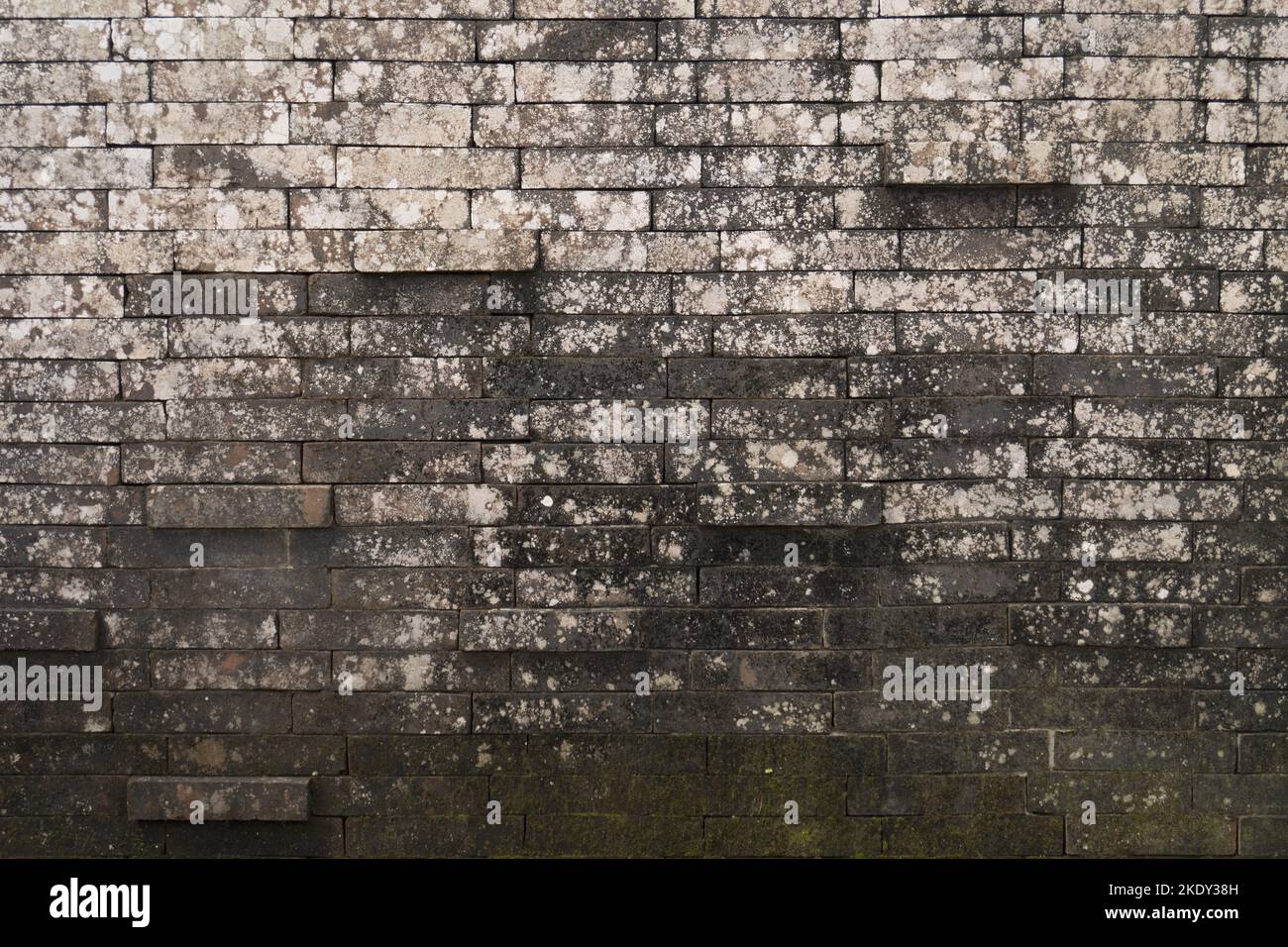 Balinese brick wall texture, stained moss brick wall, irregular pattern ...