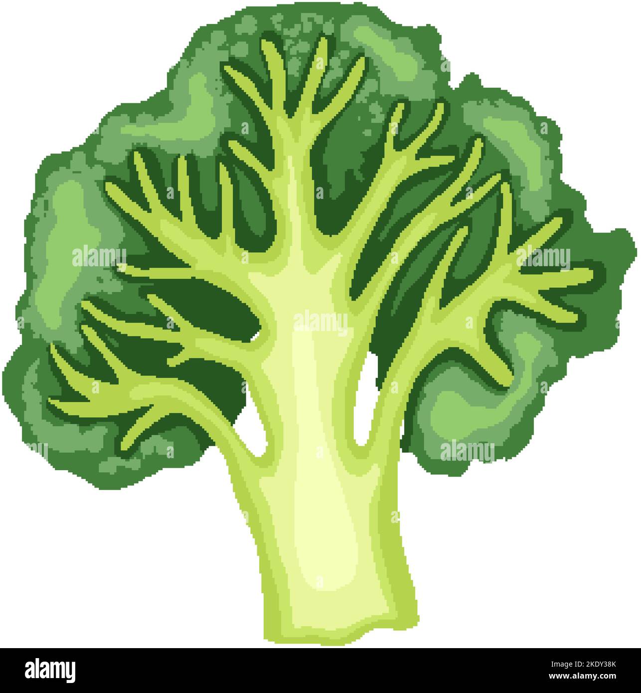 broccoli cut cartoon vector illustration Stock Vector Image & Art - Alamy