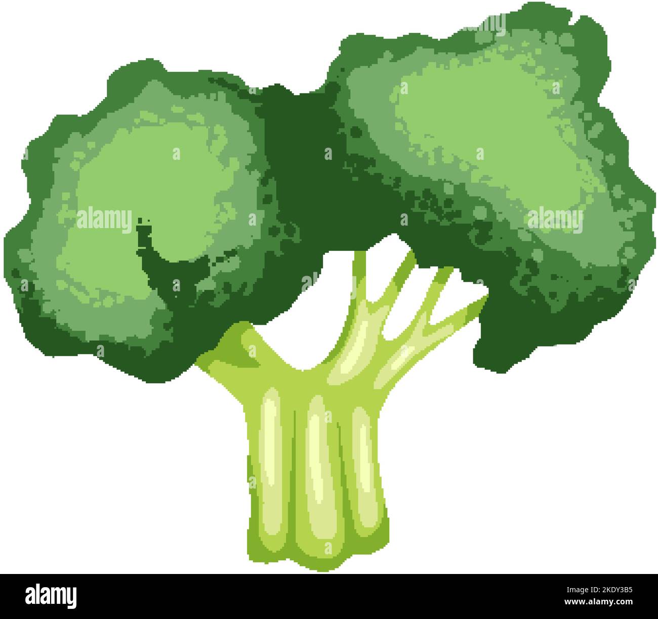 Broccoli macro Stock Vector Images - Alamy