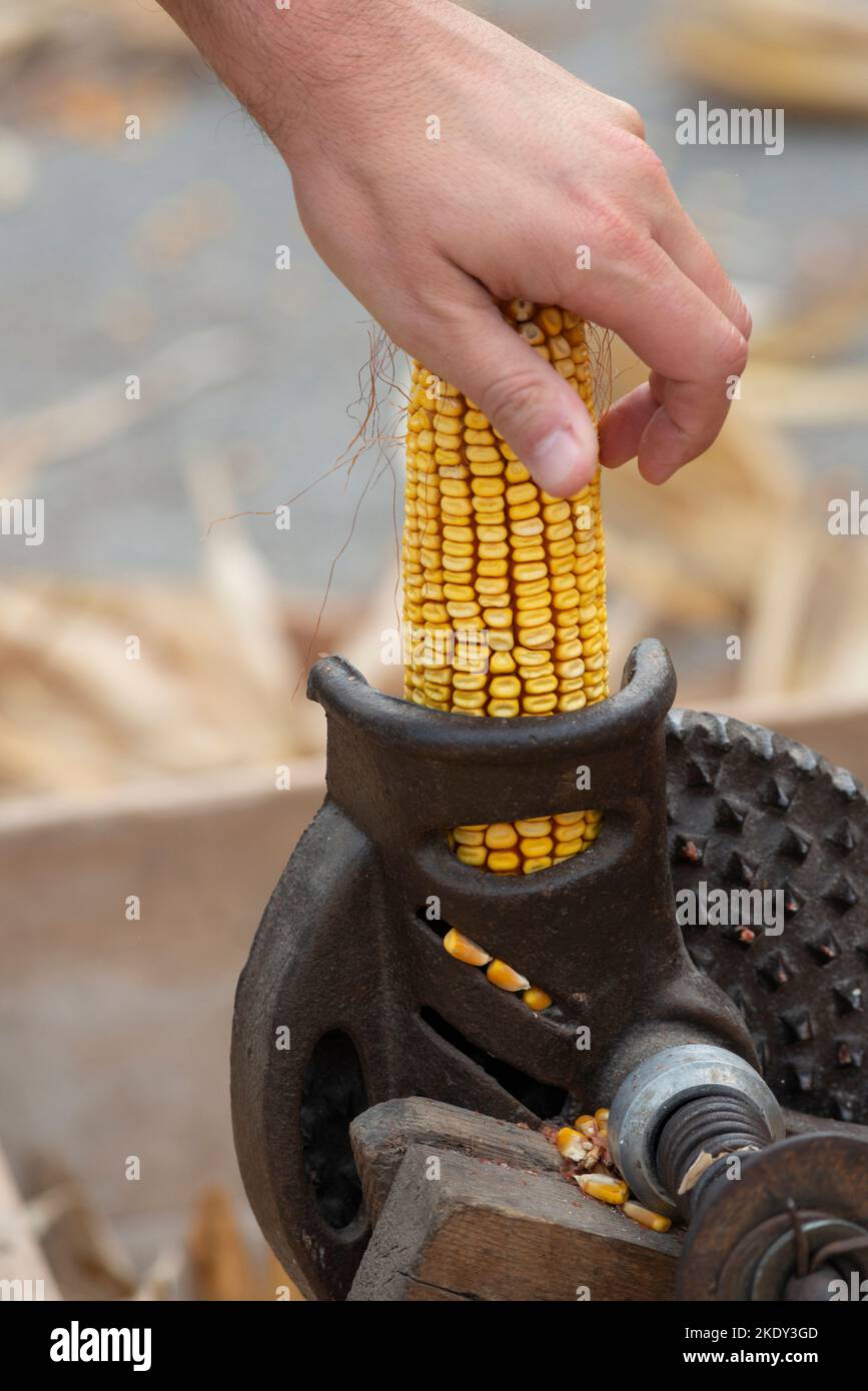 Maize shelling machine hi-res stock photography and images - Alamy