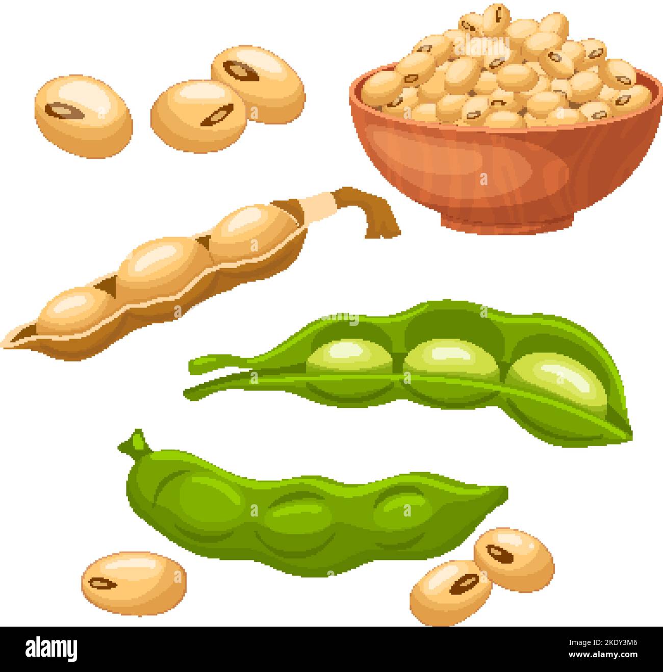 soya food bean set cartoon vector illustration Stock Vector Image & Art ...