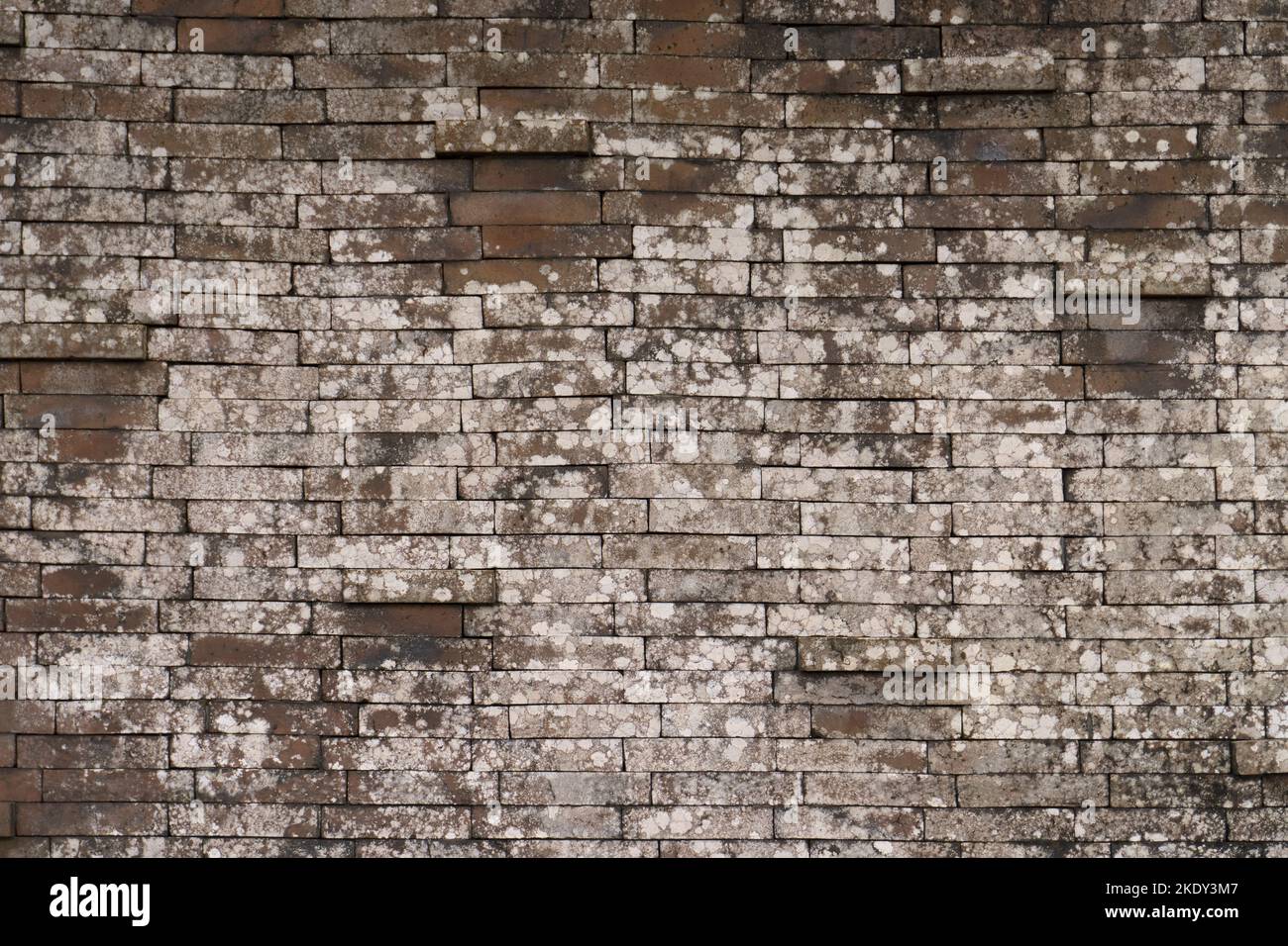 Balinese brick wall texture, stained moss brick wall, irregular pattern ...