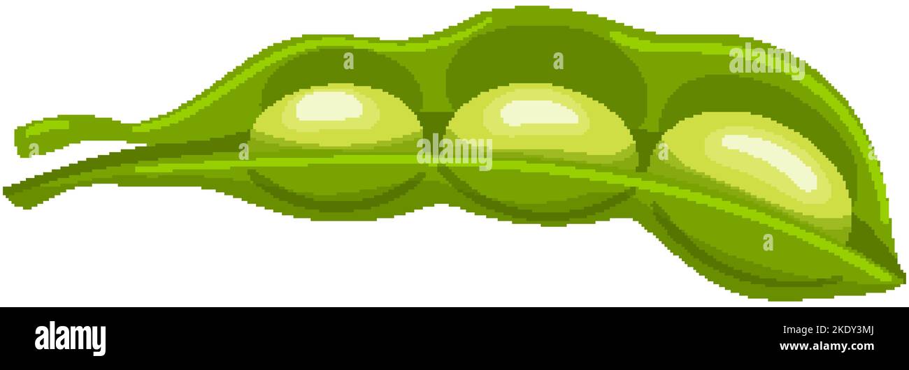 Green Soya Cartoon Vector Illustration Stock Vector Image And Art Alamy