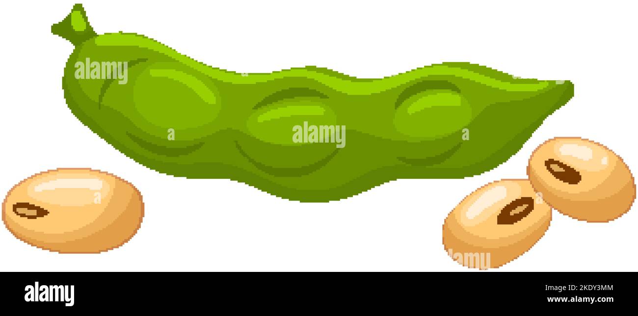 green soya bean cartoon vector illustration Stock Vector Image & Art ...