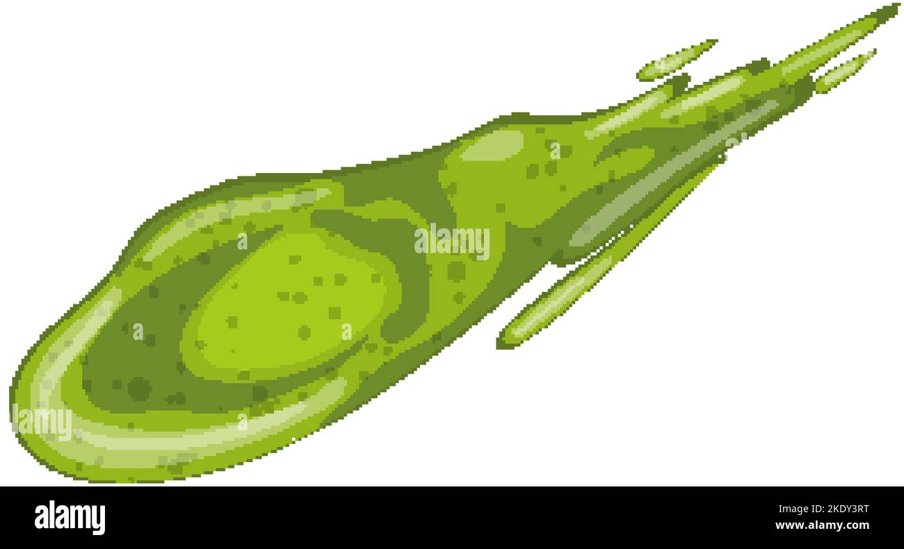 pesto sauce splash cartoon vector illustration Stock Vector Image & Art ...