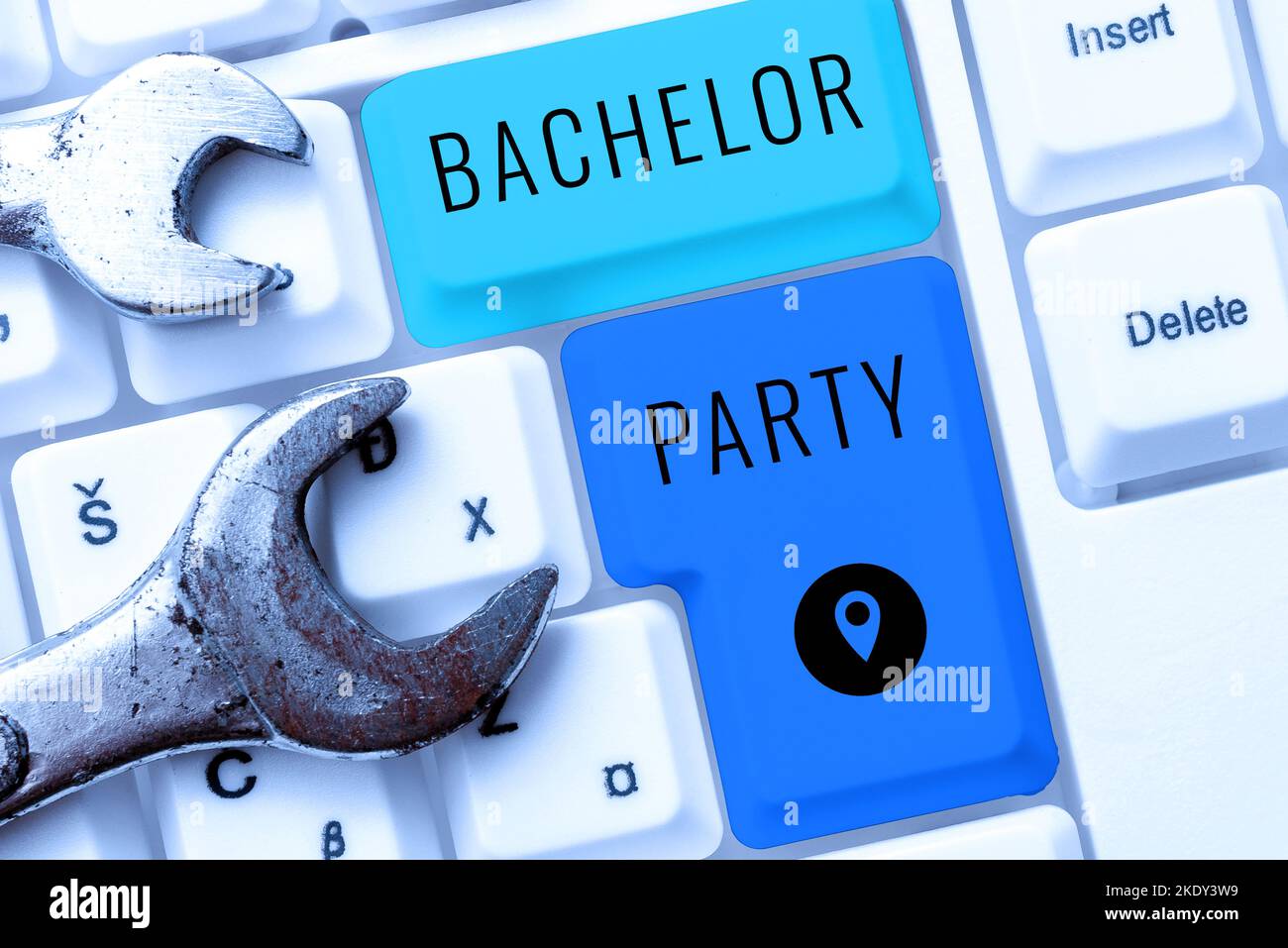 Text caption presenting Bachelor Party, Internet Concept Party given ... Text caption presenting Bachelor Party, Internet Concept Party given ...