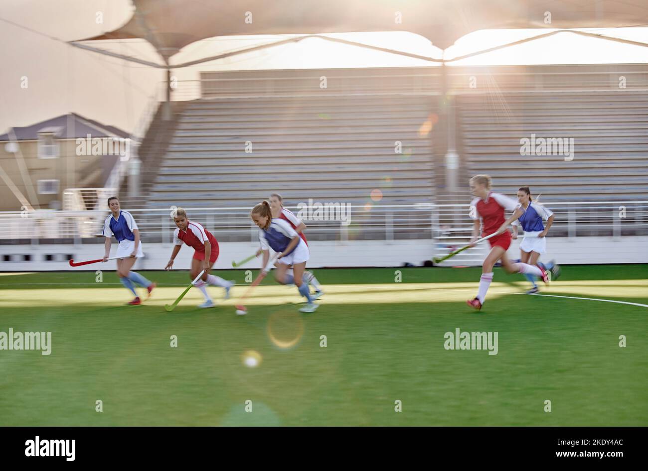 Women, hockey and sports on grass field, turf and pitch for competition ...