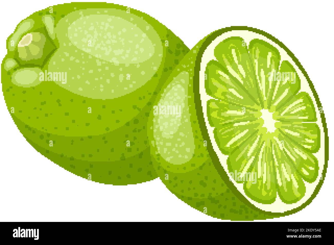 Lime Cut Cartoon Vector Illustration Stock Vector Image And Art Alamy