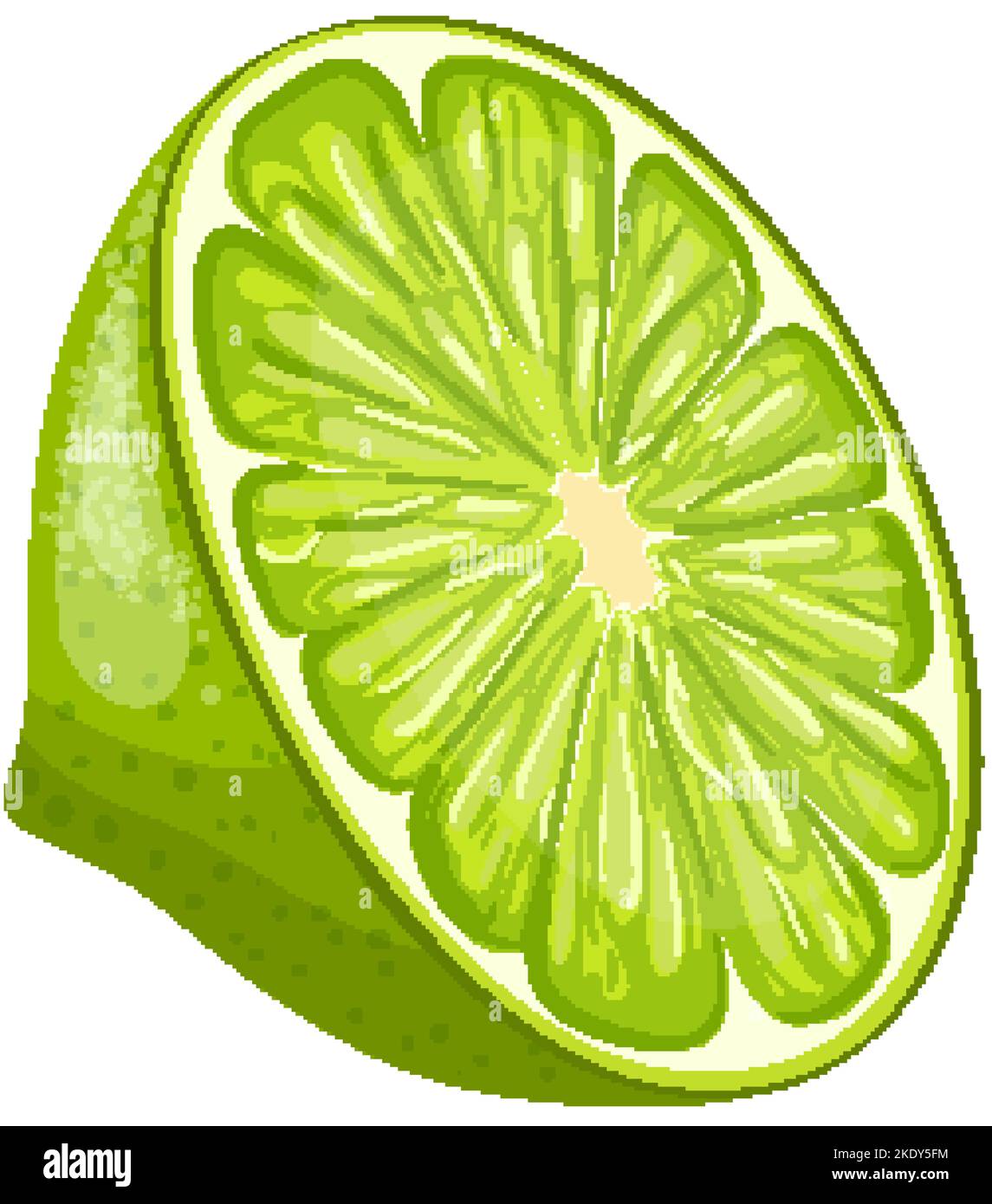 Lime Fresh Cartoon Vector Illustration Stock Vector Image And Art Alamy